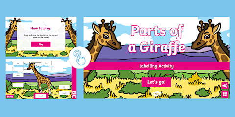 Parts of a Giraffe Interactive Labelling Activity