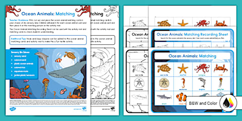 Ocean Animals Count and Color to 10 Worksheet