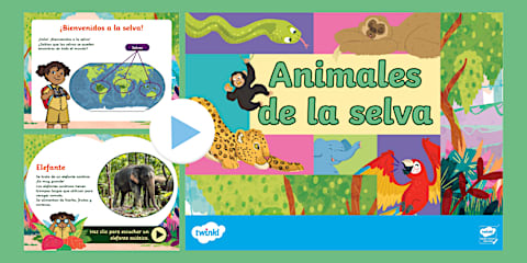 Pósters: animales de la selva