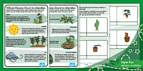What Plants Need Interactive Visual Aid Template