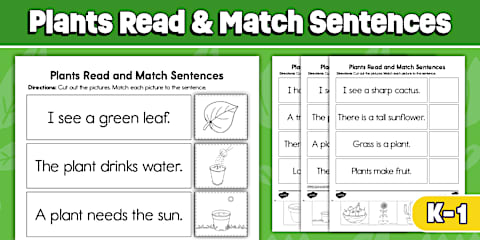 Ice Cream Sight Words Match and Color Worksheet for PreK-K