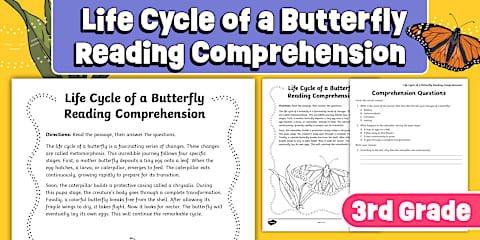 Third Grade Photosynthesis Reading Passage Comprehension Worksheet