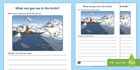 Beach Scene Writing Stimulus Picture Worksheet