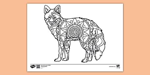 Arctic Fox Mindfulness Colouring Sheet
