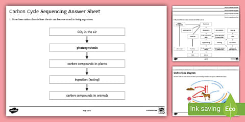 The Carbon Cycle Game