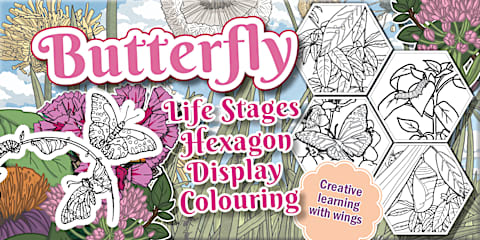 Wildflower Botanical Themed Numbers 0-20 Parallelogram Display Shapes