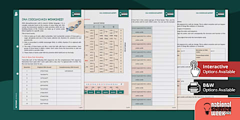 DNA Simple Diagram Activity Sheet - Biology - Beyond