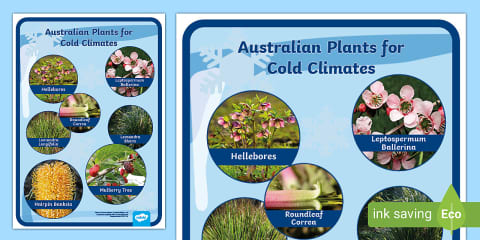 The Australian Climate Display Poster