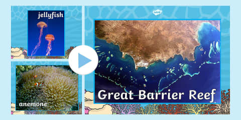 The Great Barrier Reef Map