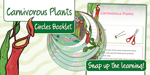 Create a Carnivorous Plant Worksheet