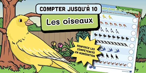 Colorier et compter : Les chevaux