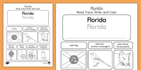 Florida Flag Investigation Worksheet for K-2nd Grade
