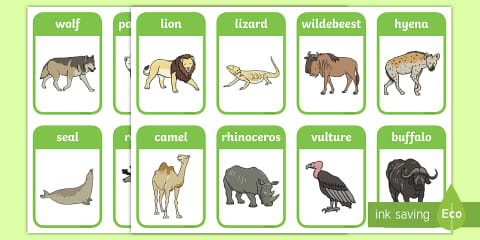 Animal Sorting Cards