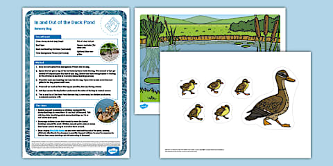 Five Little Ducks Number Activity