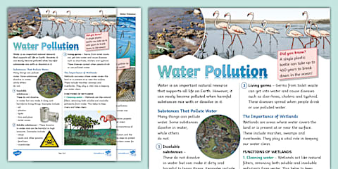 Water Pollution - Activity Sheet