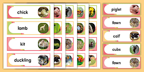 Animals and Their Young Matching Cards