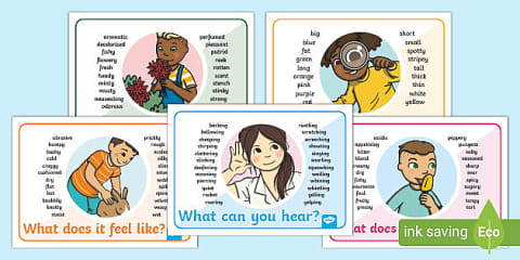5 Senses Wheel Worksheet