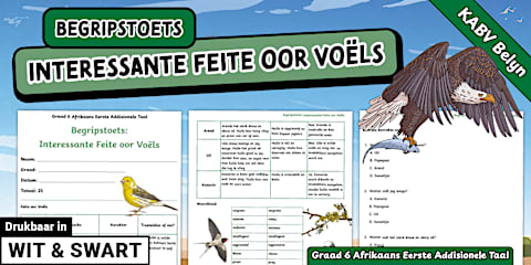 Graad 6 Afrikaans Eerste Addisionele Taal - Kwartaal 3 - 'n Legende ...