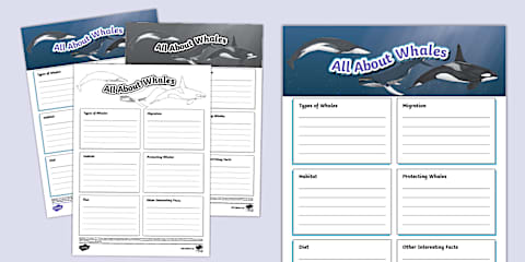 Whale Facts Template