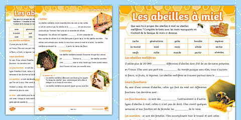 Livret rond : Les abeilles