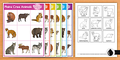 Plains Cree animals (word cards)