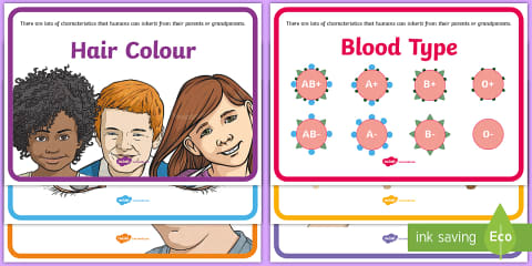 DNA Display Poster