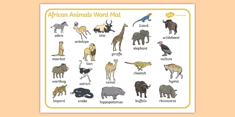 Animals from African Countries Photo Clip Art Pack