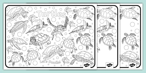 How to Draw a Sea Turtle Worksheet | Drawing and Colouring