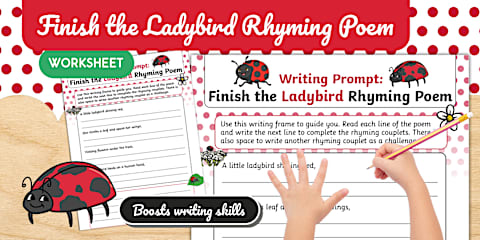 Describe my Teddy/Stuffed Toy Worksheet