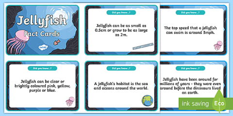 Label the Jellyfish Differentiated Worksheet for K-2nd Grade