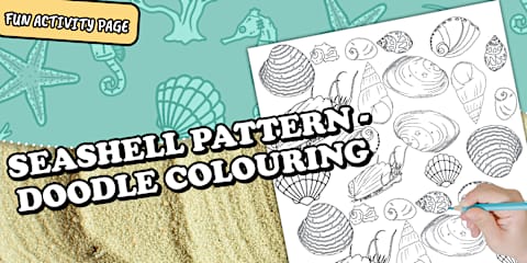 Grade 3 Phonics - Term 4 - Homework - Resource Pack (CAPS Aligned)