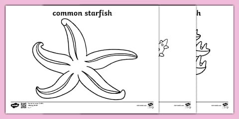Early Childhood Label the Starfish Cut and Paste Worksheet