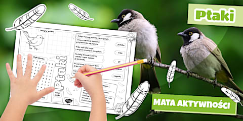 Robert i rudzik | E-book| Kolorowanka