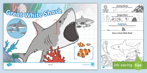 Great White Shark Diagram Pack