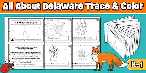 First Grade The Sun Main Idea and Supporting Details Worksheet