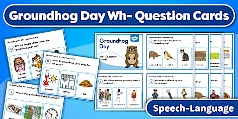 Valentine's Day Wh- Question Cards for SLP