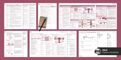 KS3 Reproduction: Human Reproduction Word Search