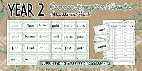 Year 2 Common Exception Words Mnemonic Flashcards