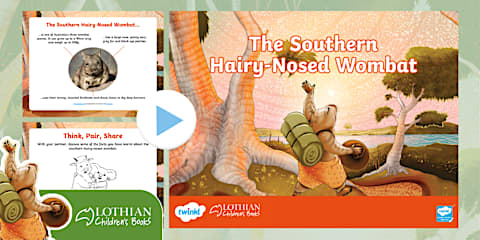 Life Cycle of a Wombat Display Poster | Australian Animals