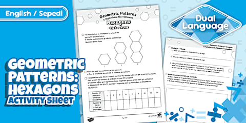 Grade 4 Maths - Term 3 - Geometric Patterns: Hexagons Activity Sheet ...