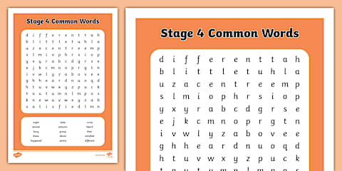 Stage 6 Common Words Word Search