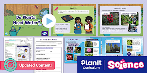 Plants and Water Differentiated Worksheets