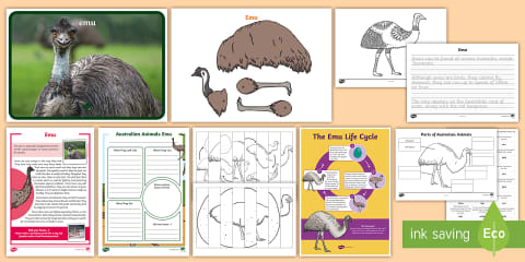 Australian Animals Emu Information Report Writing Template