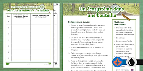 Ecosystems Fact File French