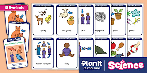 Twinkl Symbols: PlanIt Science: Animals Including Humans: Year 1 ...