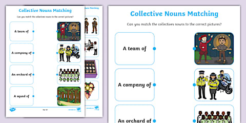 Collective Nouns Worksheet | ELA | Twinkl USA