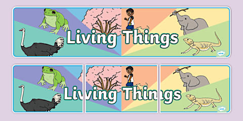 Living Things Grow Display Poster