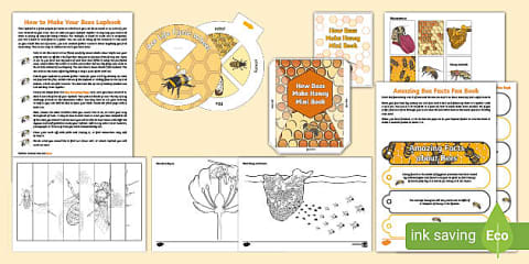 All About Bees Worksheet
