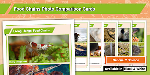 Living Things: Predator or Prey? Match and Draw