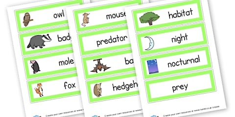EYFS All About Nocturnal Animals Fact Files